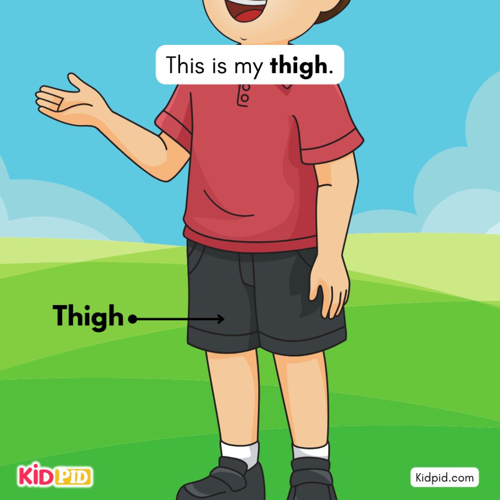 Learn the Parts of the Body - THE LEG - Kidpid