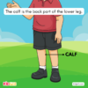 Learn the Parts of the Body - THE LEG - Kidpid