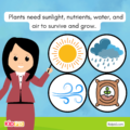 Learn the Plant Life Cycle - Free Book for Kids - Kidpid