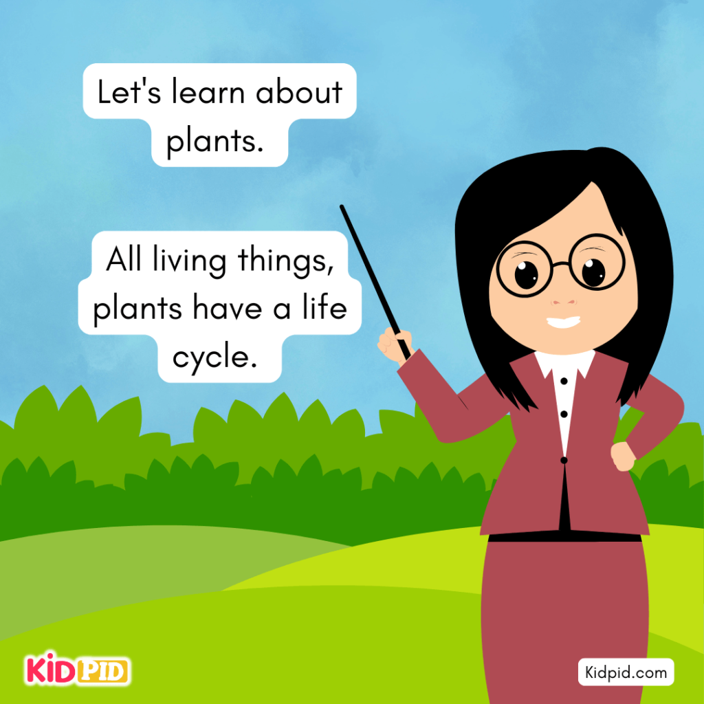 Learn the Plant Life Cycle - Free Book for Kids - Kidpid