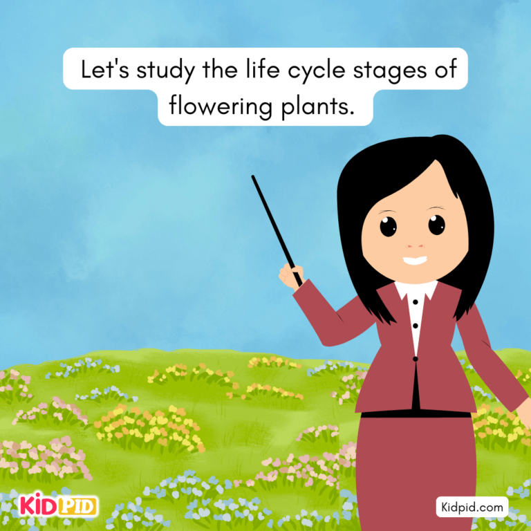 Learn the Plant Life Cycle - Free Book for Kids - Kidpid