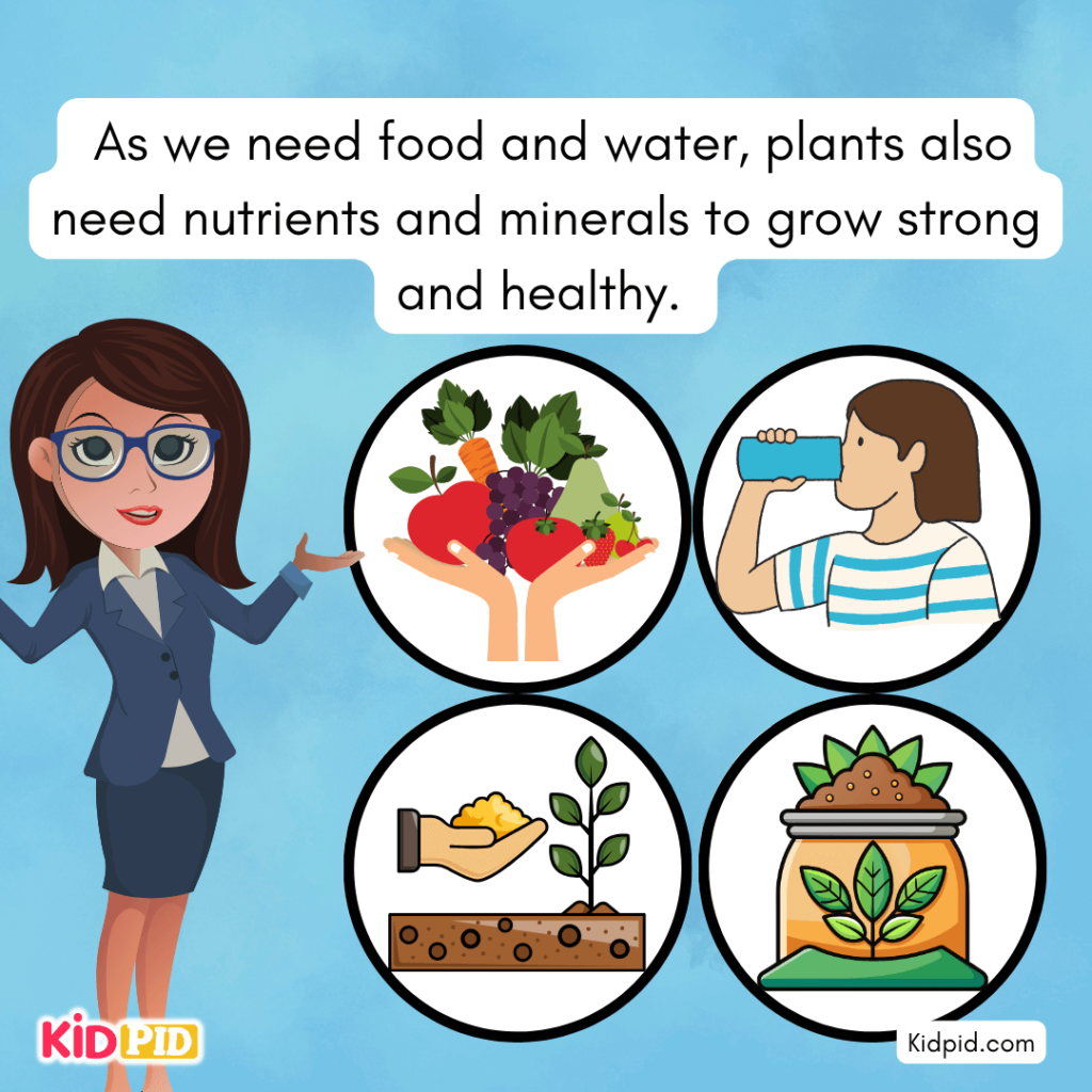 Parts of Plants and Their Functions - Free Book to Download - Kidpid