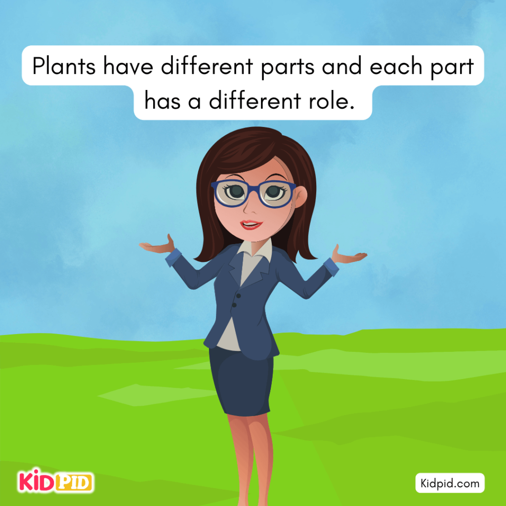 Parts of Plants and Their Functions - Free Book to Download - Kidpid