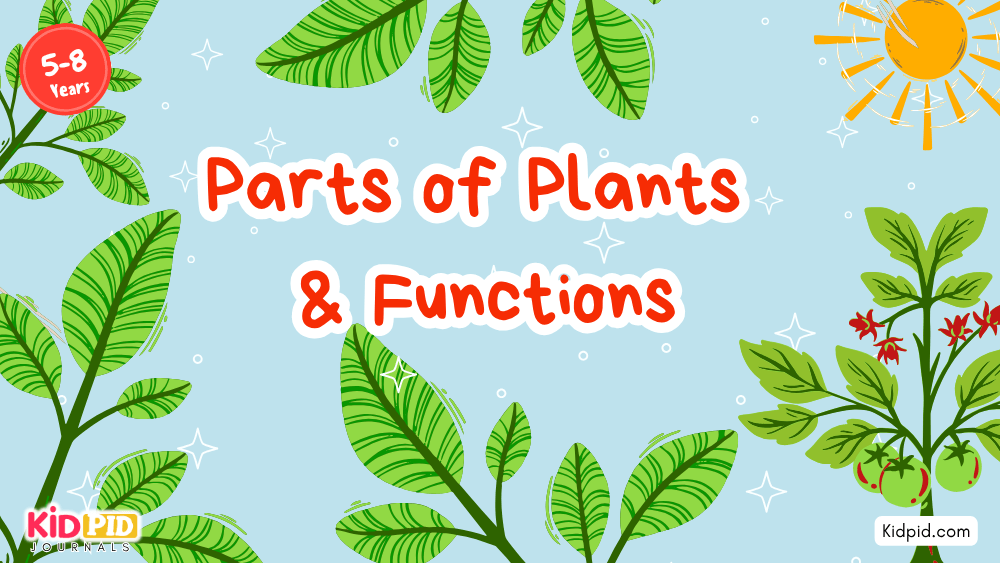 Parts of Plants and Their Functions - Free Book to Download - Kidpid