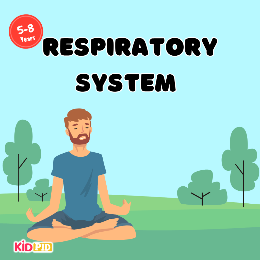 Respiratory System - Free Book for Kids - Kidpid