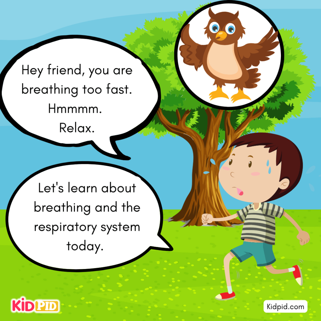 Respiratory System - Free Book for Kids - Kidpid