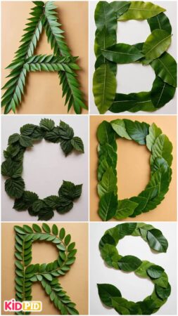 A to Z Leaf Alphabet Art & Craft Ideas - Kidpid