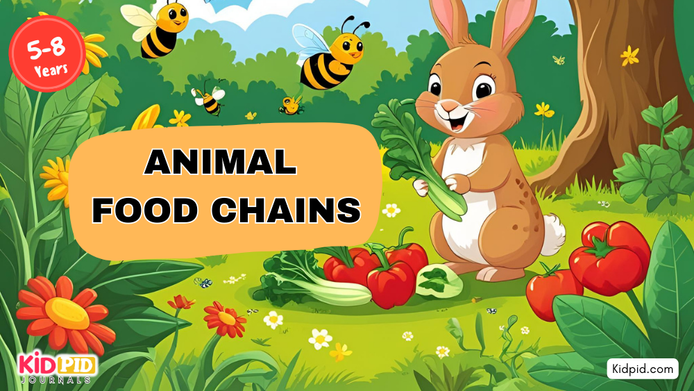 Food Chain – What Animals Eat and How It All Works - Kidpid