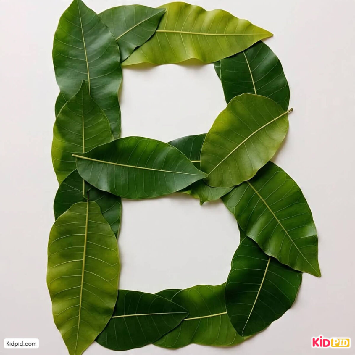 A to Z Leaf Alphabet Art & Craft Ideas - Kidpid