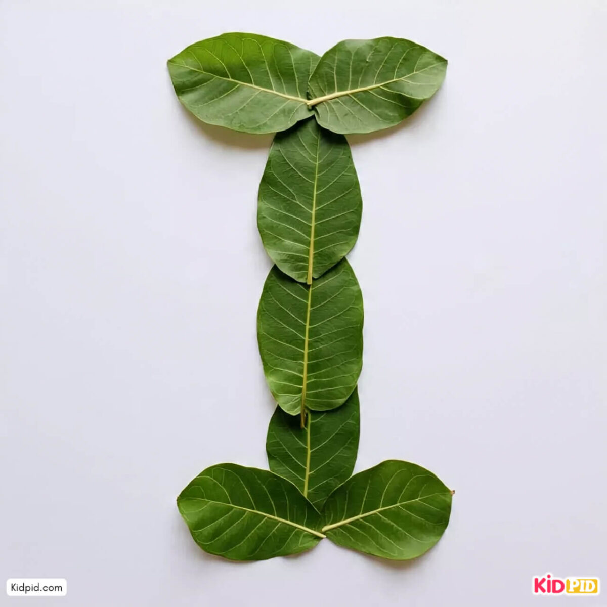 A to Z Leaf Alphabet Art & Craft Ideas - Kidpid