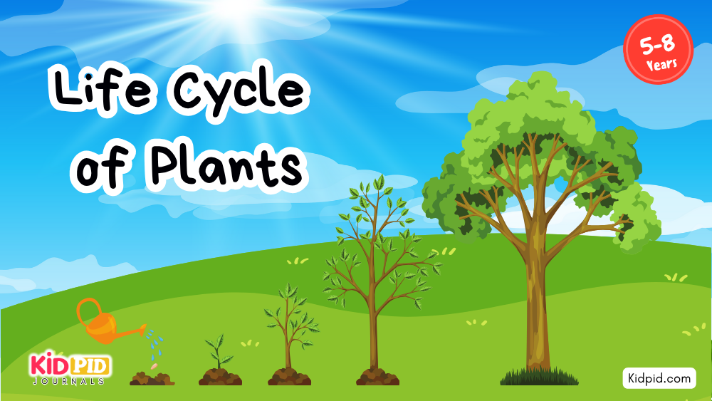 Learn the Plant Life Cycle - Free Book for Kids - Kidpid