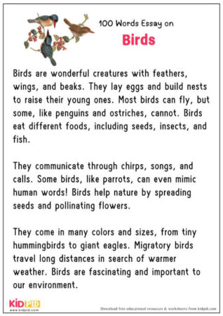 Birds: Essay, 10 Pointers and Questions - Kidpid