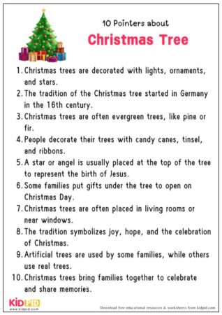 Christmas Tree : Essay, 10 Pointers and Questions - Kidpid