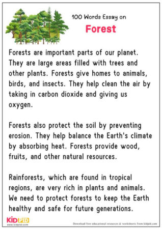 Forest: Essay, 10 Pointers and Questions - Kidpid