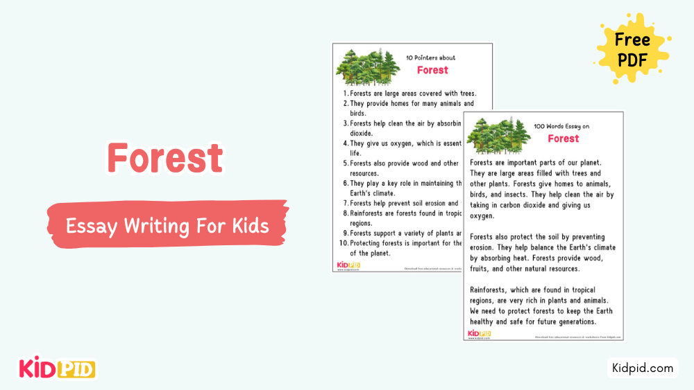 Forest: Essay, 10 Pointers and Questions - Kidpid