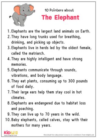 The Elephant : Essay, 10 Pointers and Questions - Kidpid