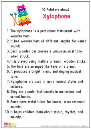 Xylophone: Essay, 10 Pointers and Questions - Kidpid