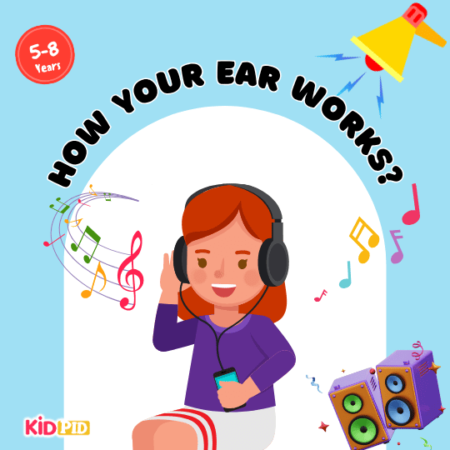 How Your Ear Works - Science Book for Children - Kidpid