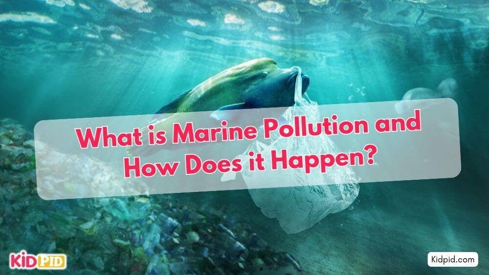 What is Marine Pollution and How Does it Happen? [Quiz Inside] - Kidpid