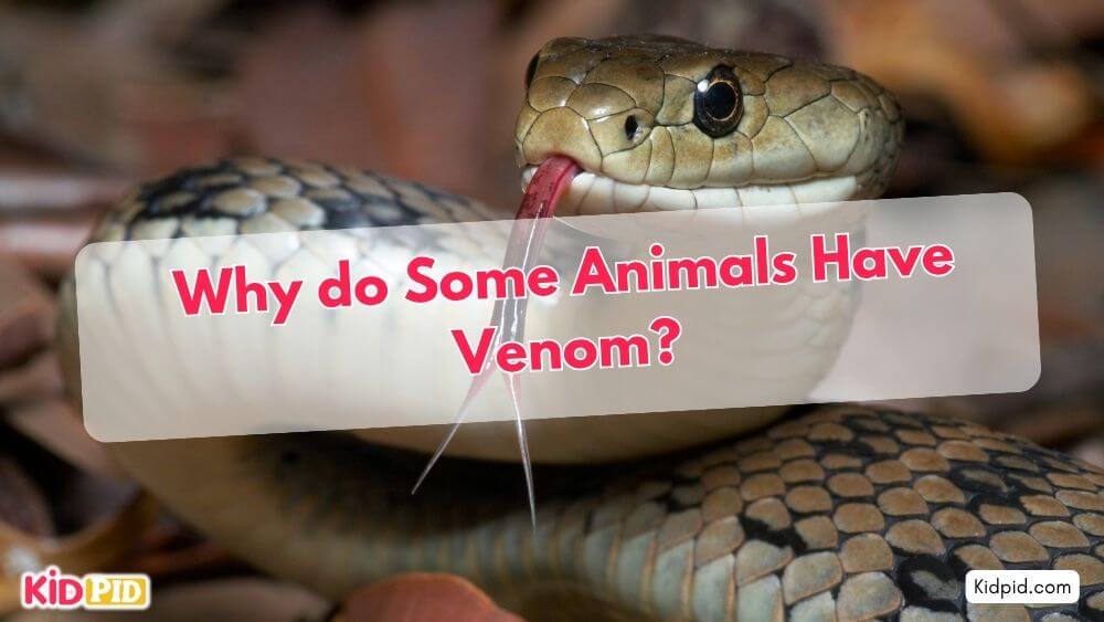 Why Do Some Animals Have Venom? [Quiz Inside] - Kidpid