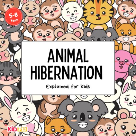 Animal Hibernation Explained for Kids - Science Book - Kidpid