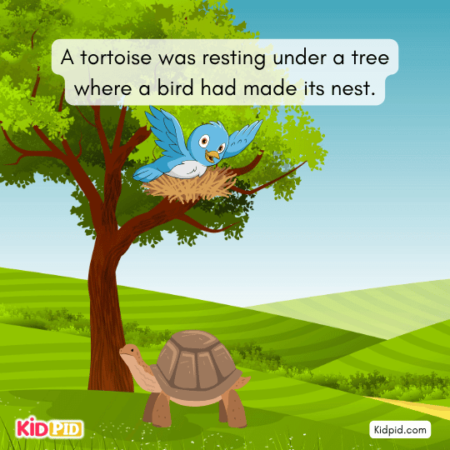 The Tortoise And The Bird - Moral Story Book for Kids - Kidpid