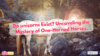 Are unicorns real? The mystery of one-horned horses explored. - Kidpid