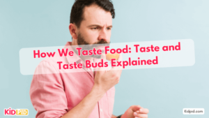 How We Taste Food: The Sense of Taste and Taste Buds - Kidpid