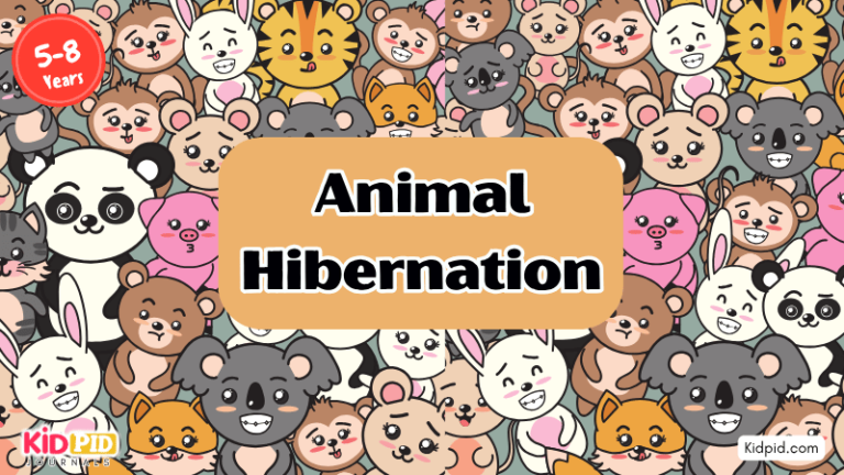 Animal Hibernation Explained for Kids - Science Book - Kidpid