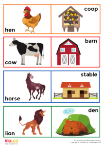 Animals and Their Homes - Book for Kids - Kidpid