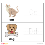 Trace Letters Workbook for Preschoolers - Kidpid