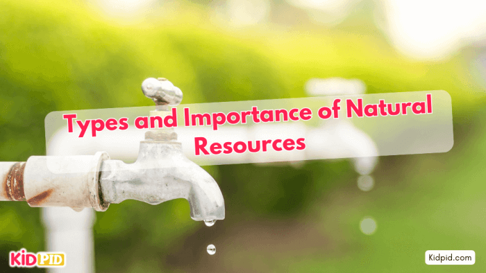 Exploring Natural Resources: Types and Their Significance - Kidpid