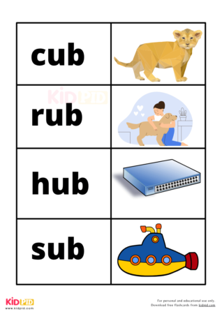 Word Family Book for Kids - Kidpid